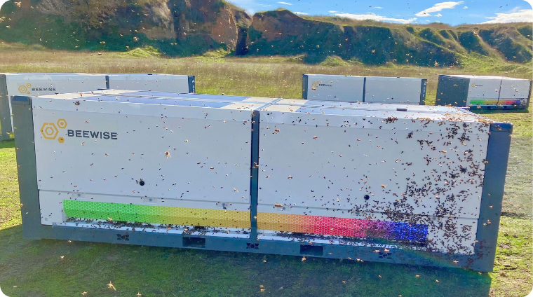 AI and Robotic Powered Hives for Beekeepers | Beewise